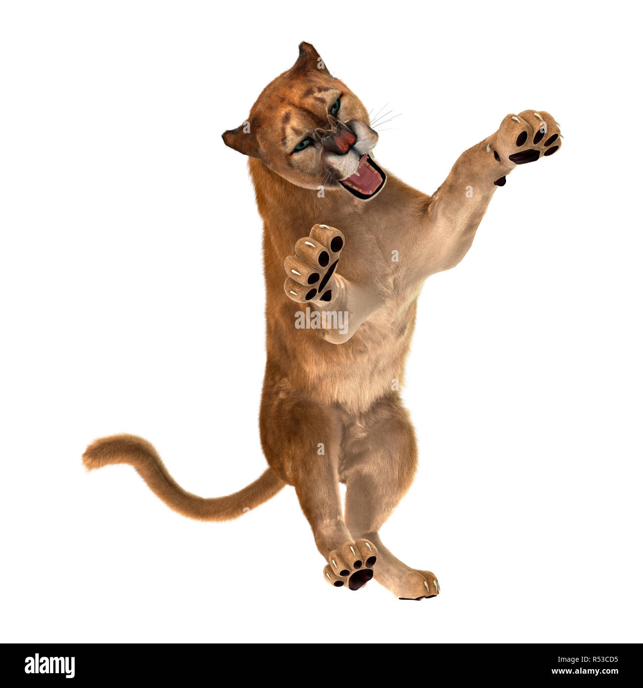 Puma attack Cut Out Stock Images & Pictures - Alamy