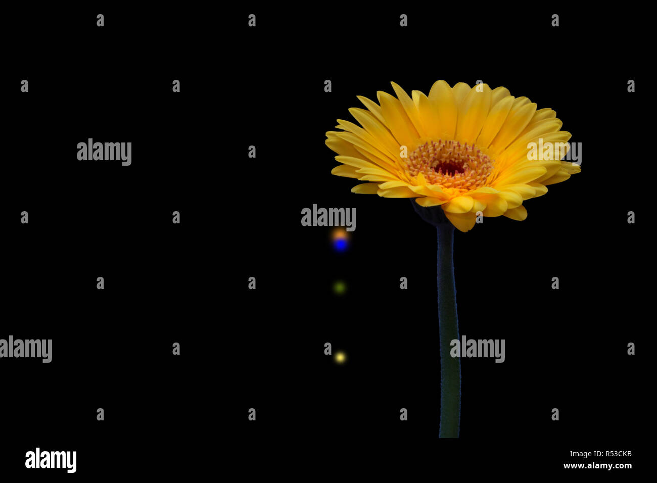 points of light Stock Photo - Alamy