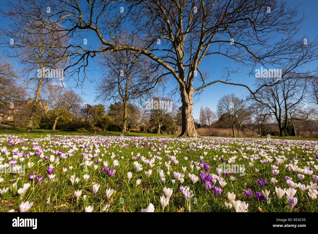 Sheffield Botanical Garden Stock Photos & Sheffield Botanical Garden ...