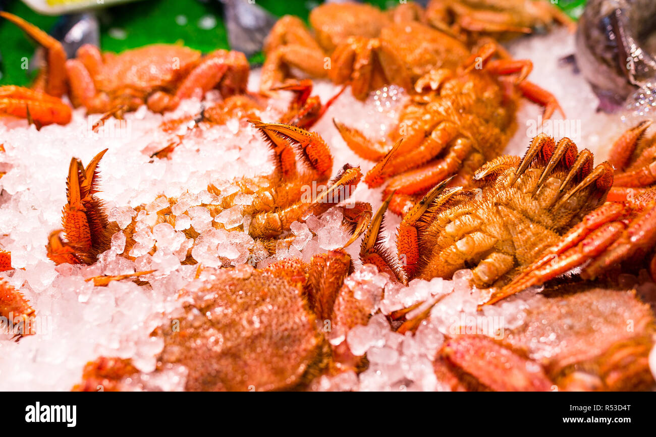 Iced Crab in market Stock Photo - Alamy