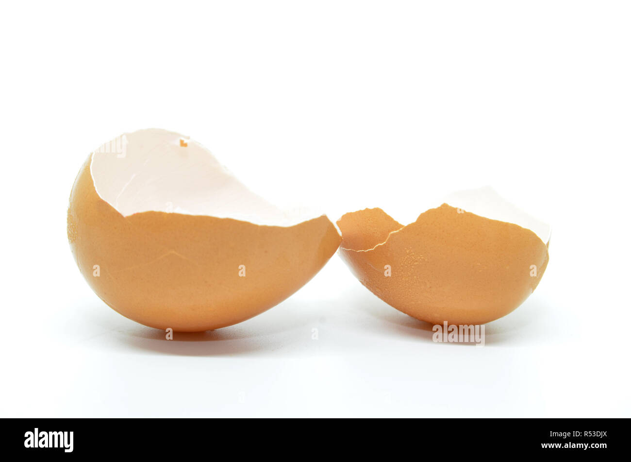 State shell Cut Out Stock Images & Pictures - Alamy