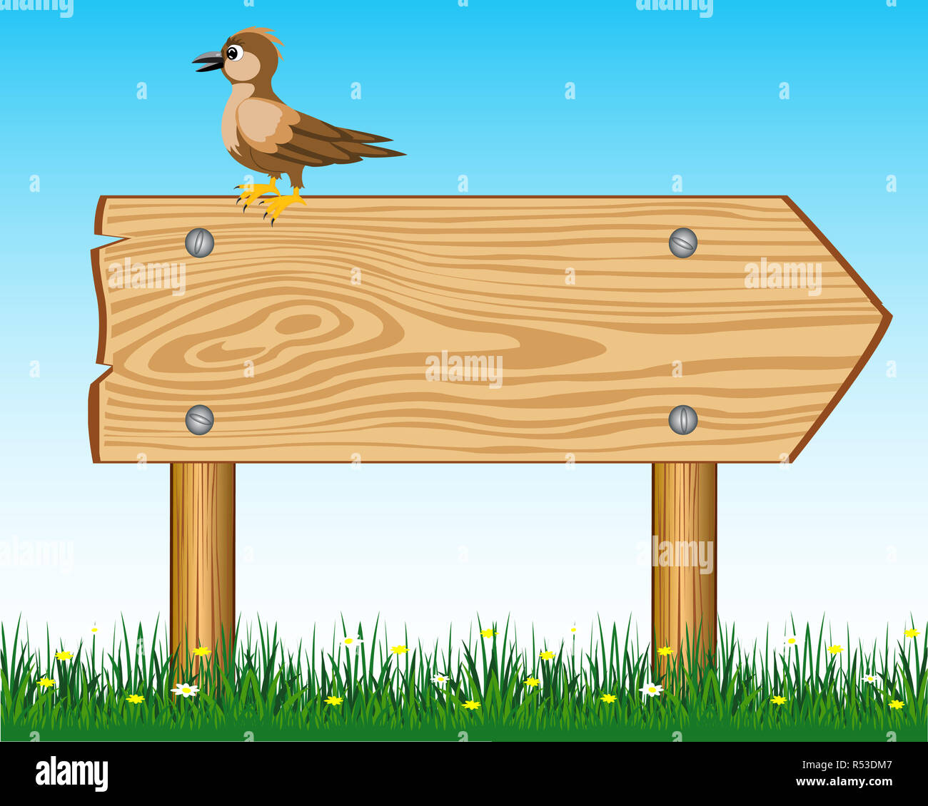 Facts about sparrow hi-res stock photography and images - Alamy