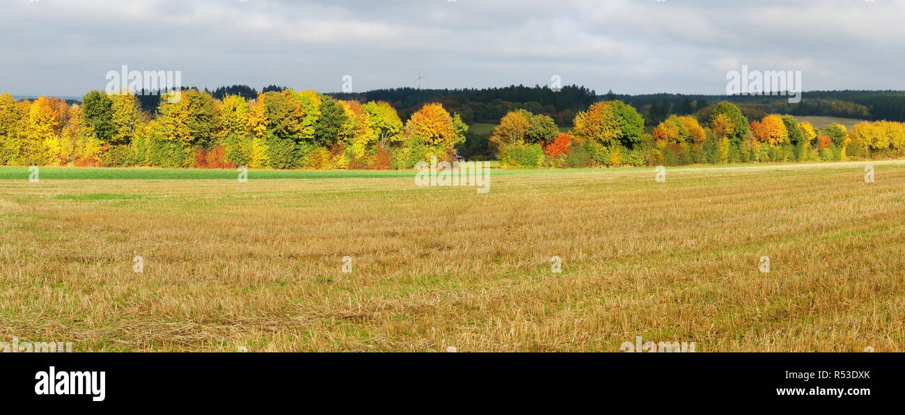 colorful field plants Stock Photo - Alamy