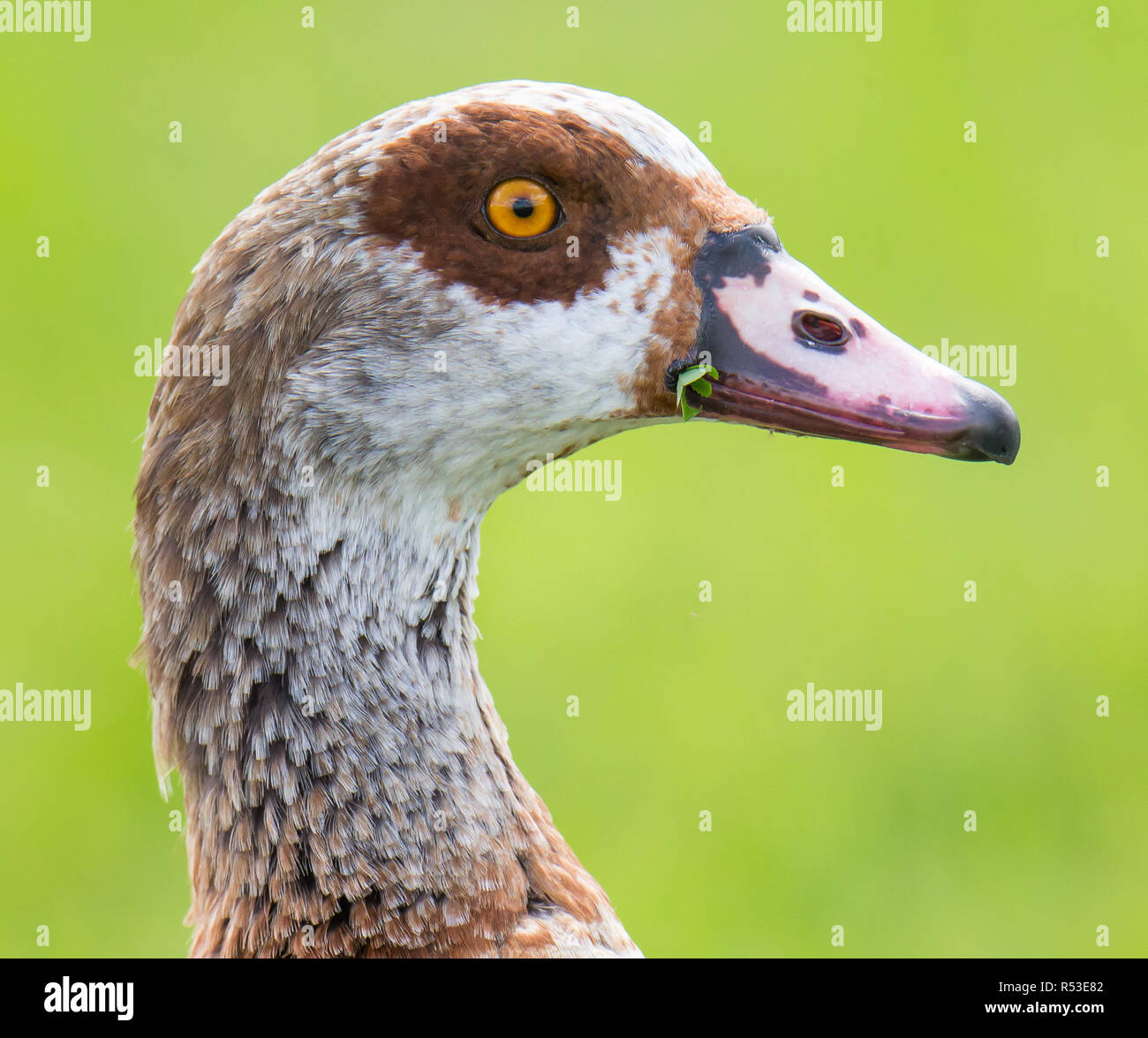 Reservoit hi-res stock photography and images - Alamy