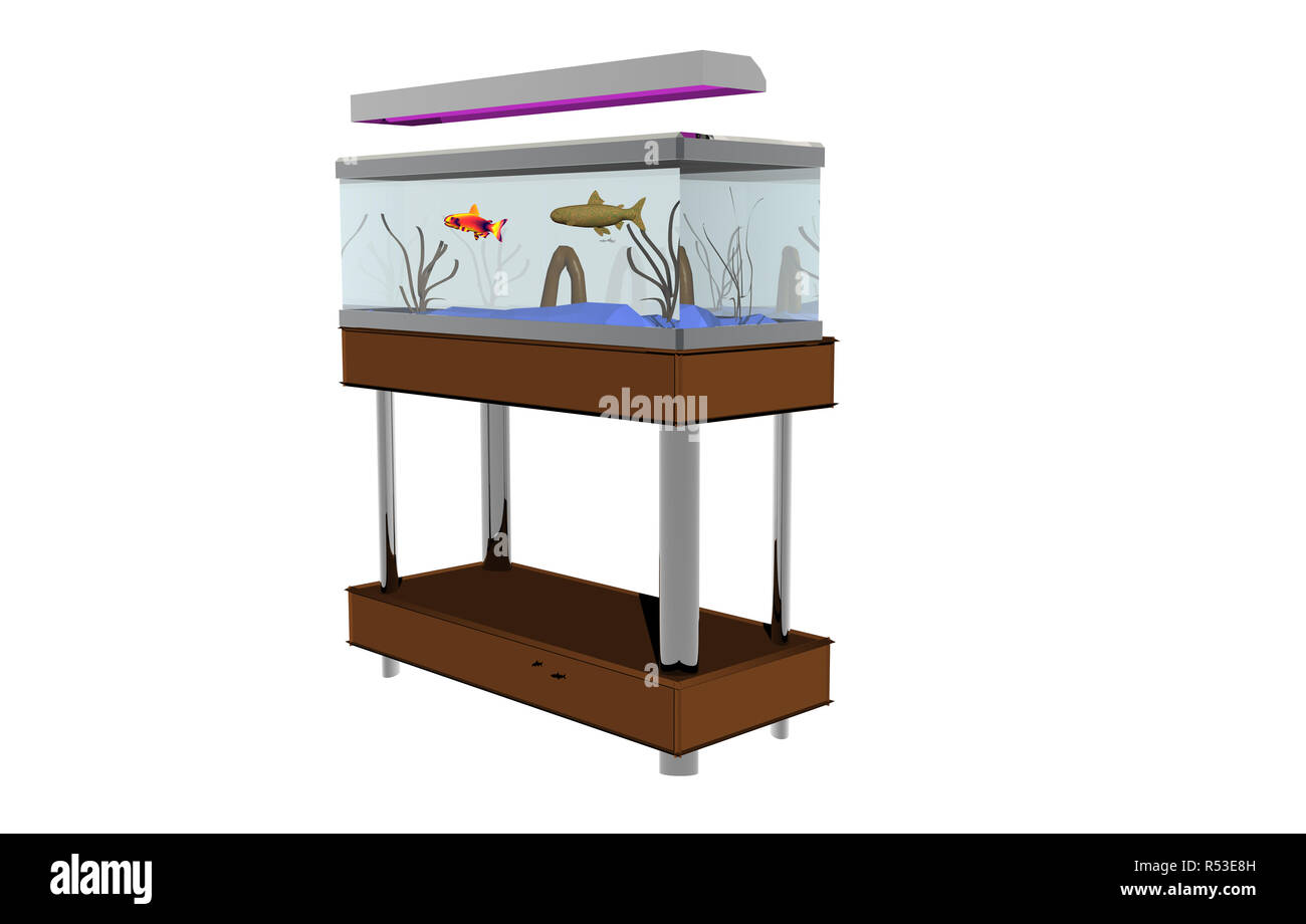 aquarium with fish and aquatic plants isolated Stock Photo - Alamy