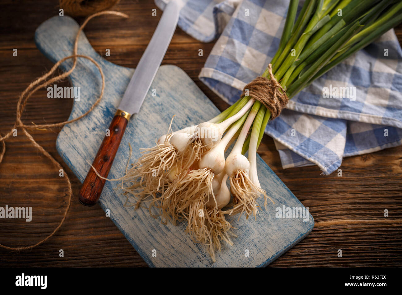 Spring organic garlic Stock Photo - Alamy