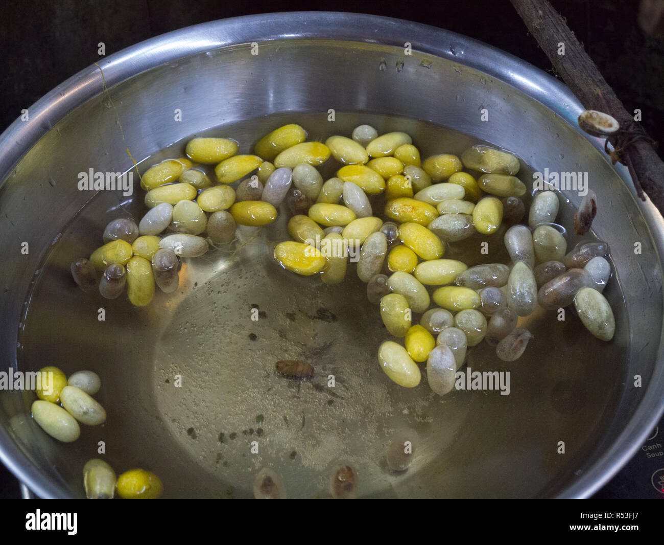 Pot for boiling silkworm larvae hi-res stock photography and images - Alamy