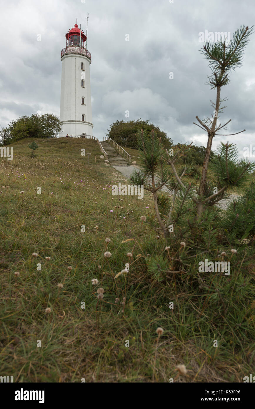 lighthouse dornbusch on hiddensee in mecklenburg vorpommern Stock Photo - Alamy
