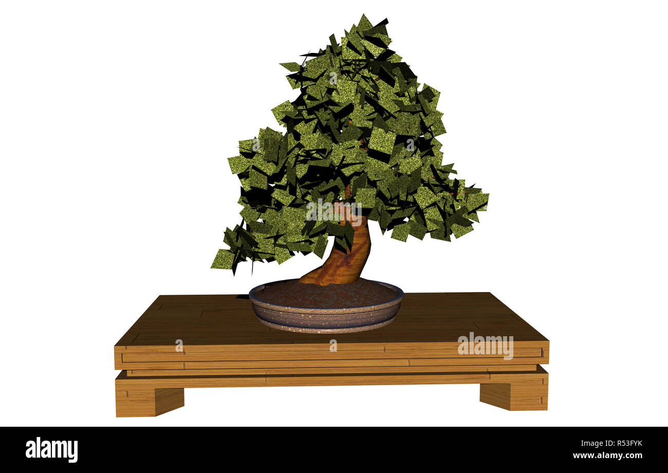Deciduous bonsai tree Cut Out Stock Images & Pictures - Alamy