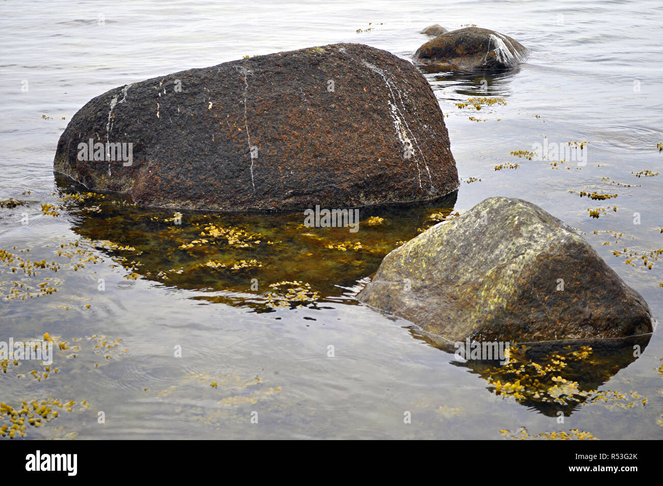 Nelementar hi-res stock photography and images - Alamy