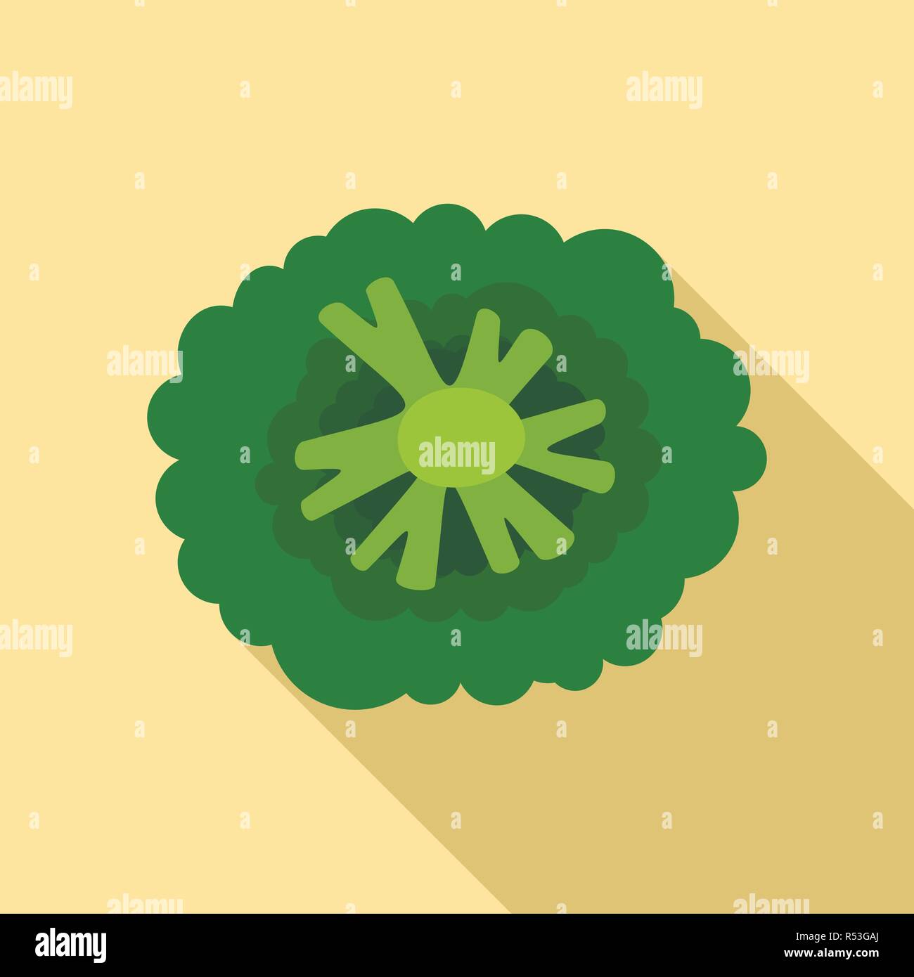 Top view broccoli icon. Flat illustration of top view broccoli vector ...