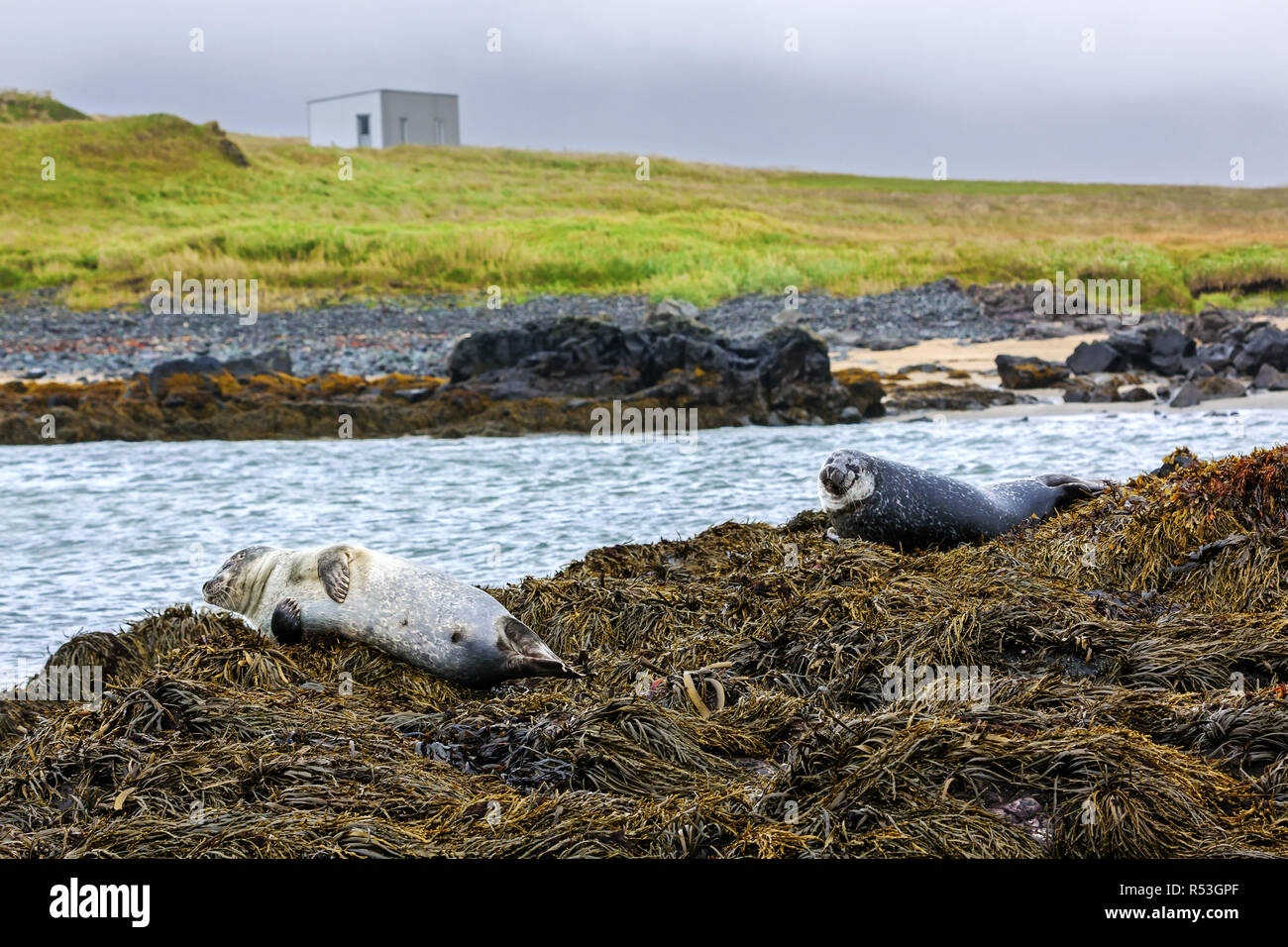 Ytri tunga beach hi-res stock photography and images - Alamy
