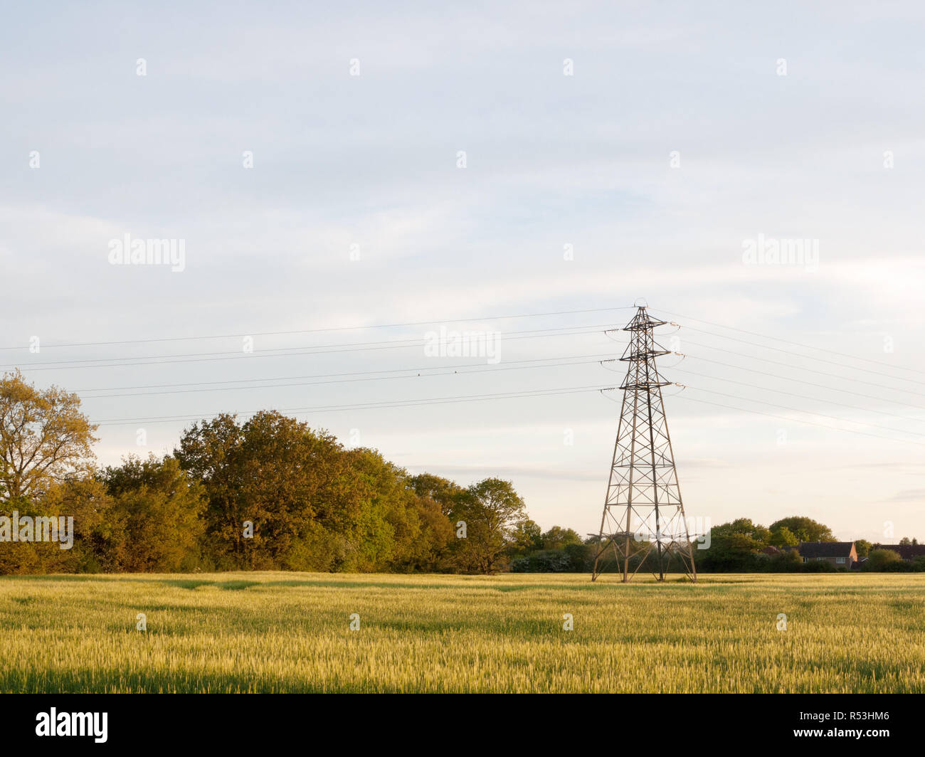 a farm field outside as the sunsets with a serene sky and a pylon ...
