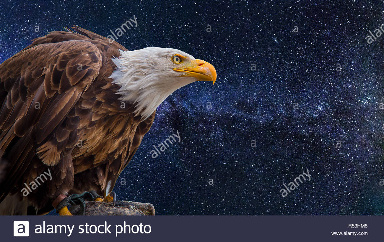 Eagle Symbol For John The Evangelist Stock Photos & Eagle Symbol For ...