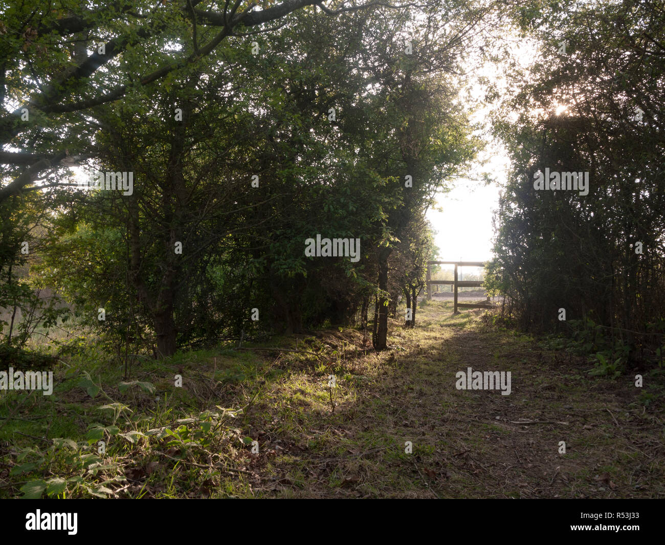 Garden path through arch way hi-res stock photography and images - Alamy