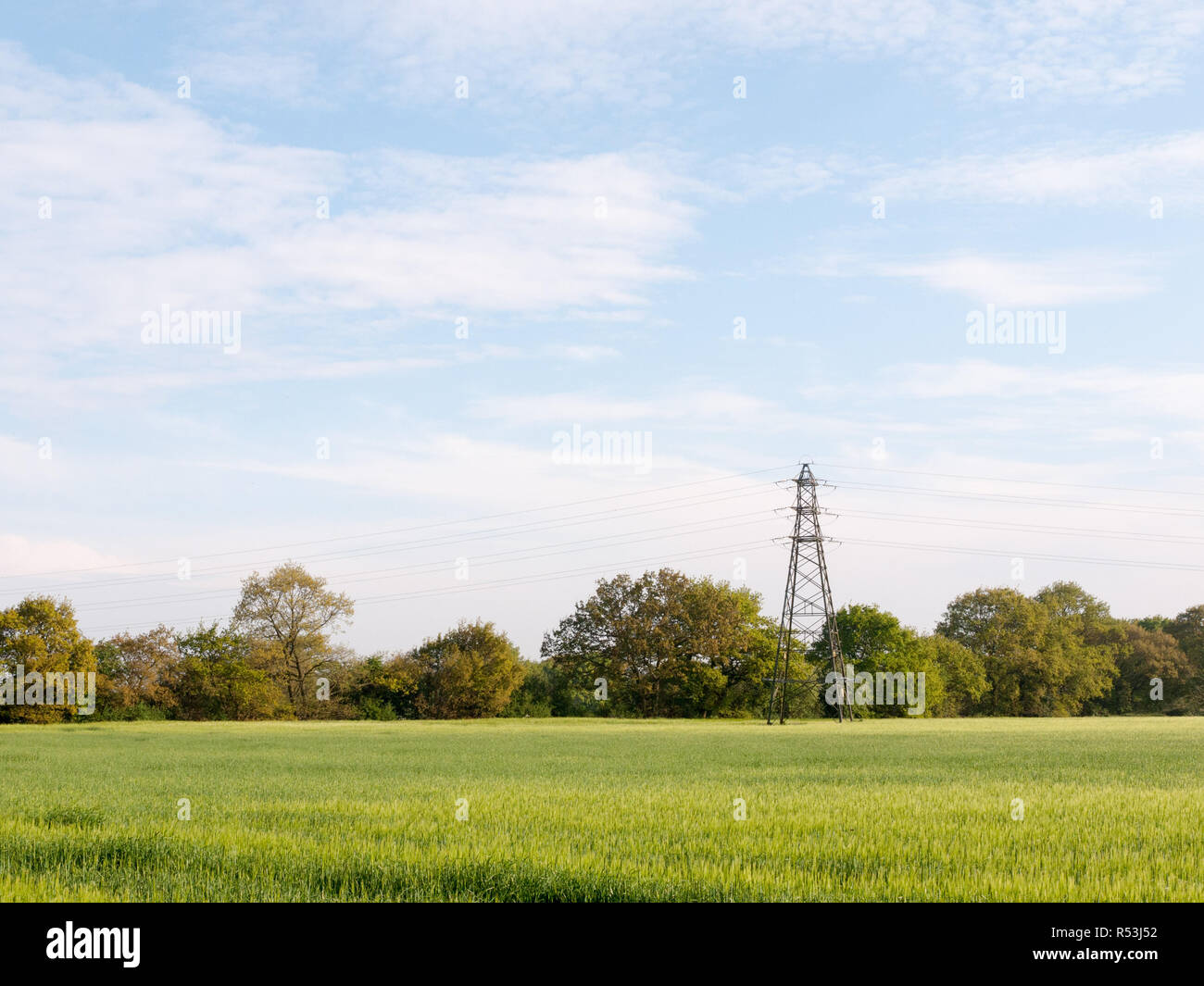 a farm field outside on a clear sunny day gorgeous lush nice farming ...