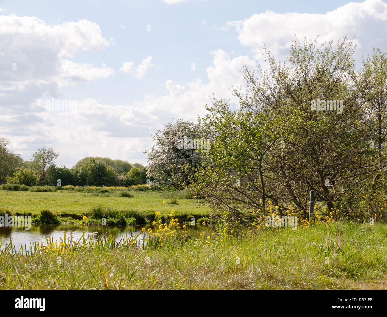 a river running through a country scene outside in the uk essex of ...