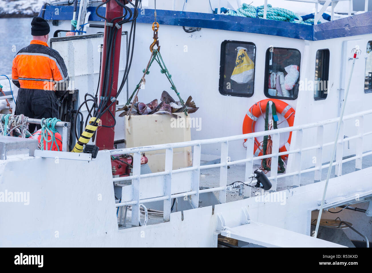 Fisherman unloading his catch of the day the harbor. Container with ...