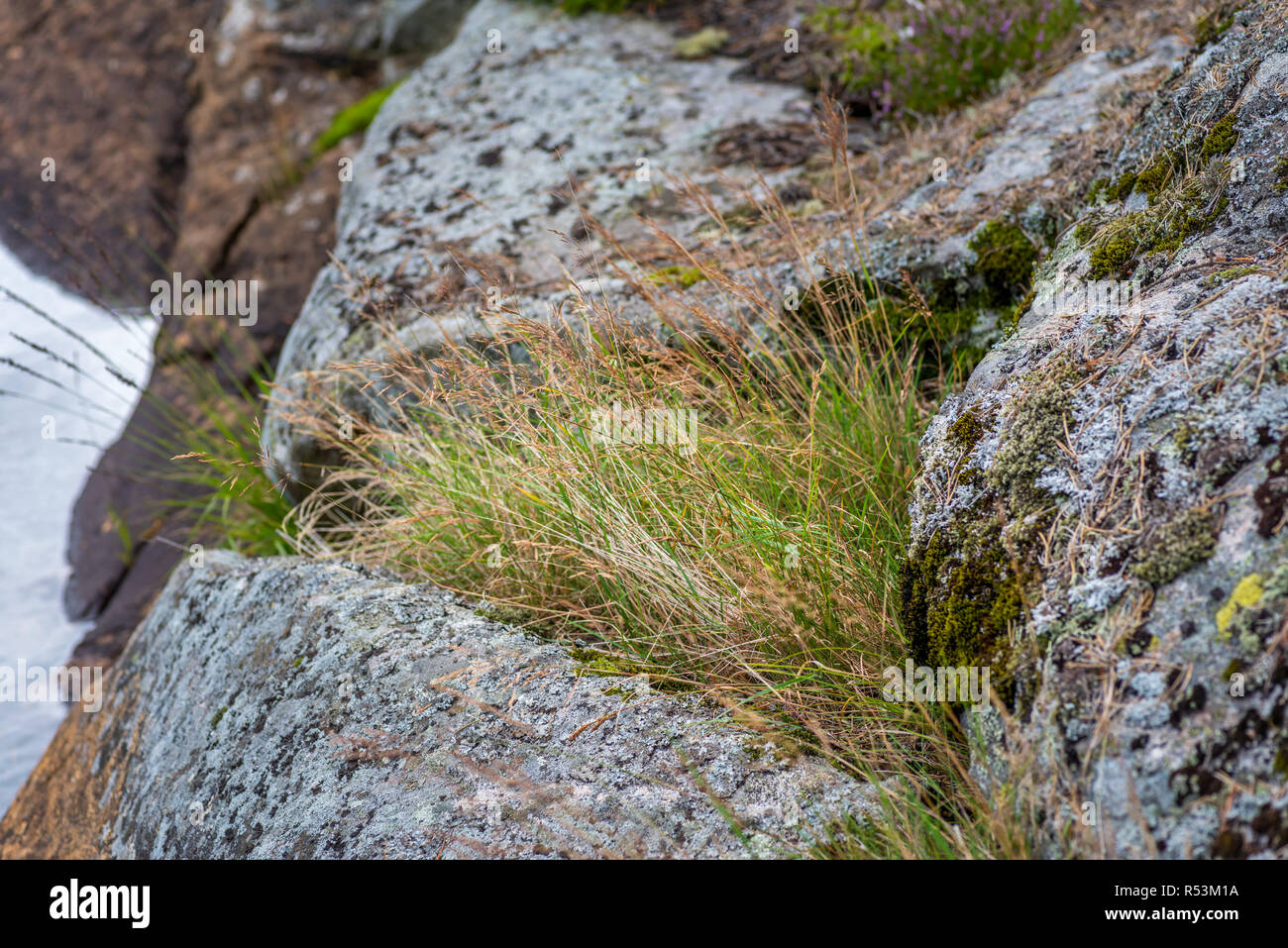 nature photography at the small lake Stock Photo - Alamy