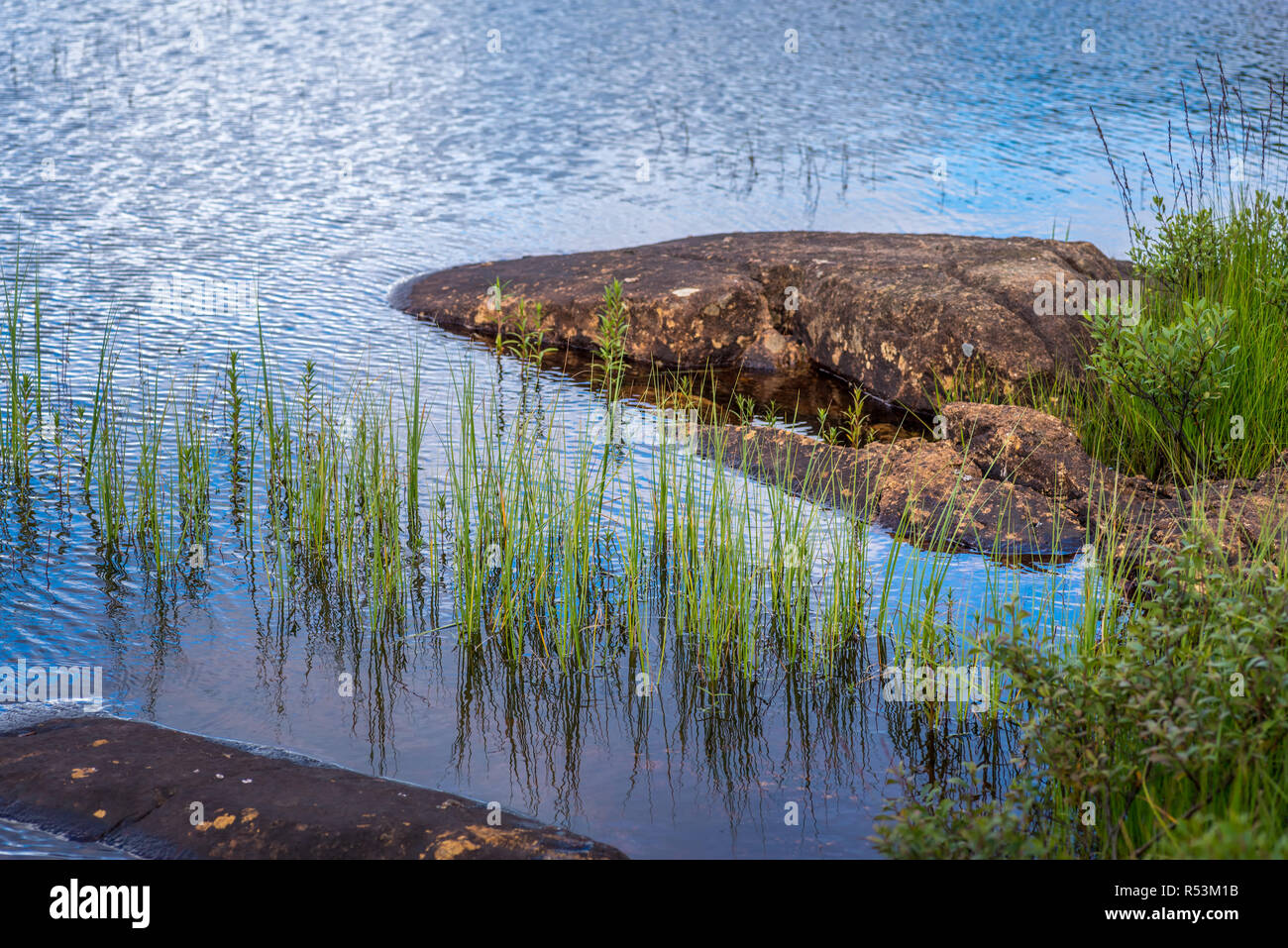 nature photography at the small lake Stock Photo - Alamy