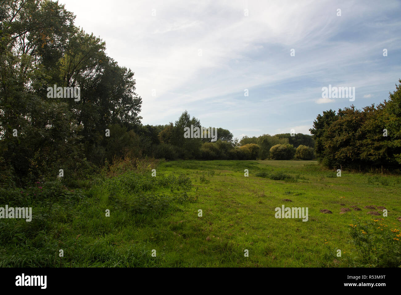 Typical landscape of foreland of small river Roer, Limburg, Netherlands ...