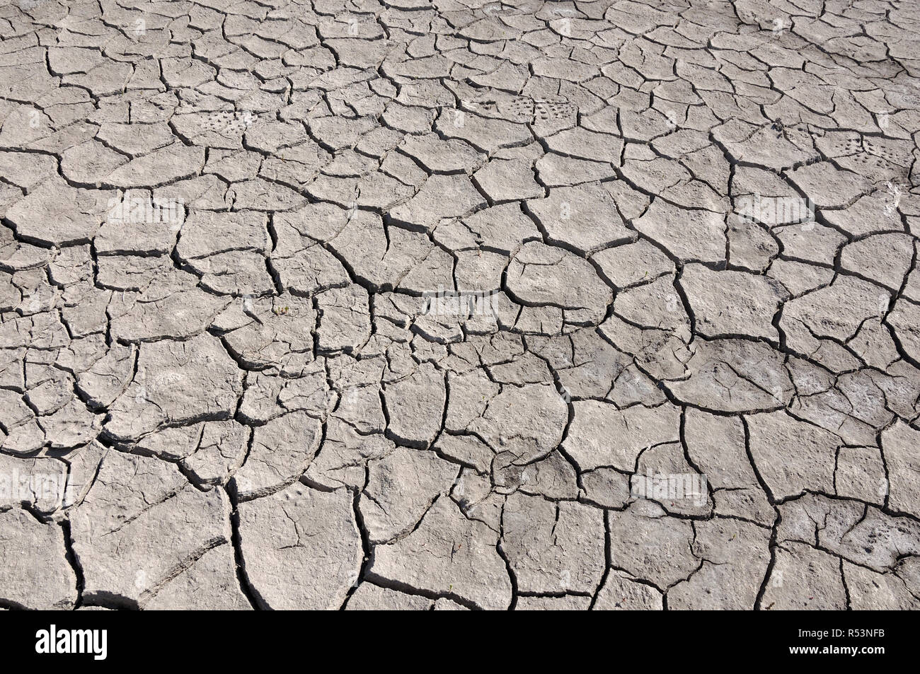 cracked by drought the ground Stock Photo - Alamy