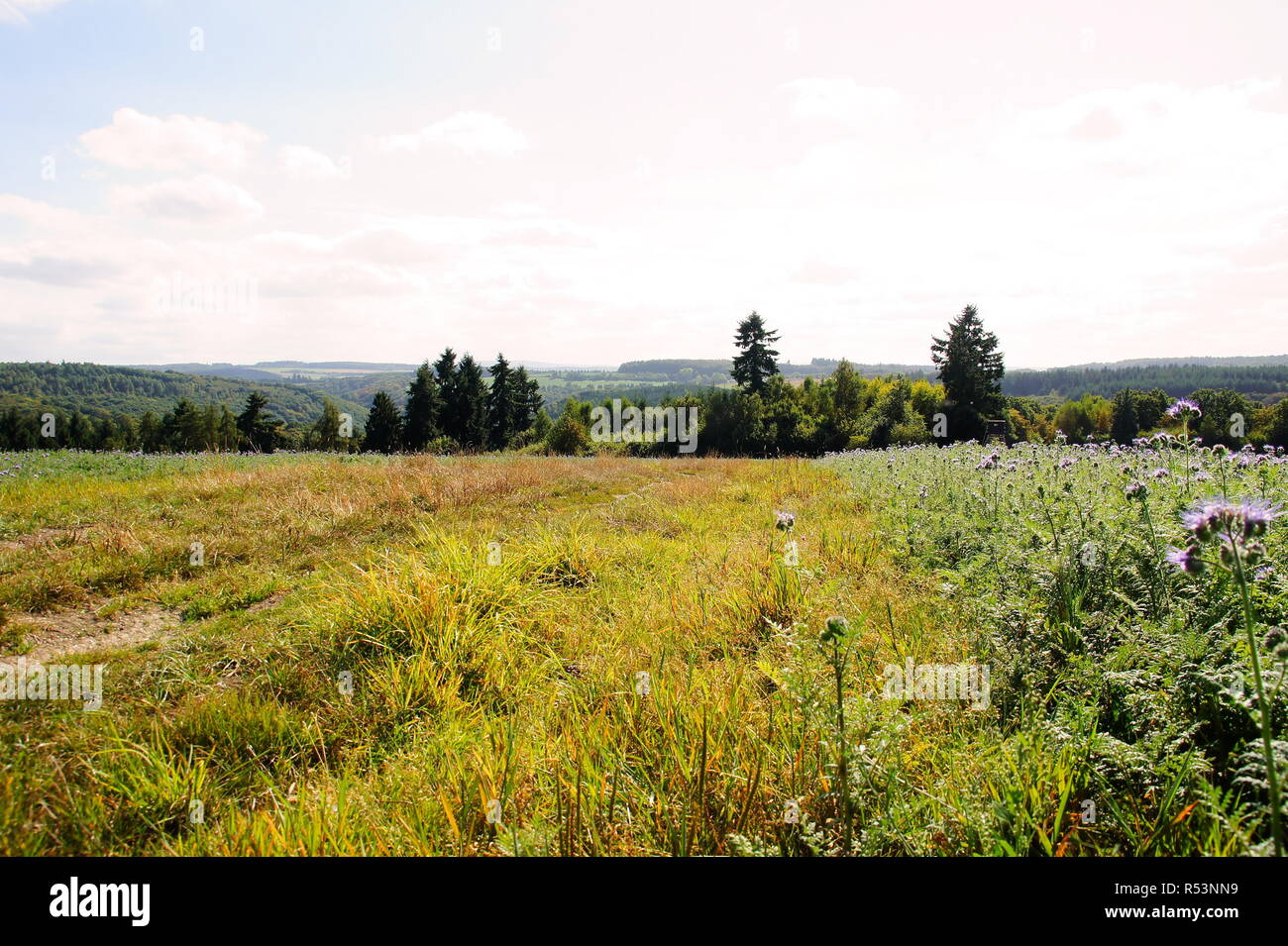 blue fields in autumnrn Stock Photo - Alamy