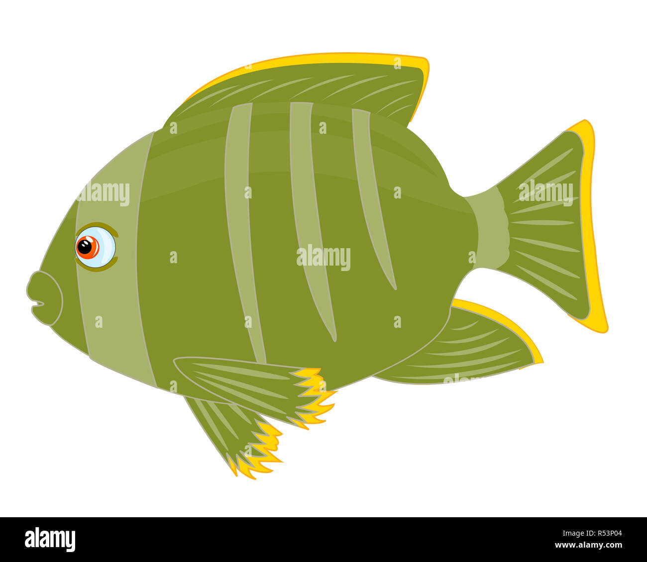 Tropical fish on white background Stock Photo - Alamy