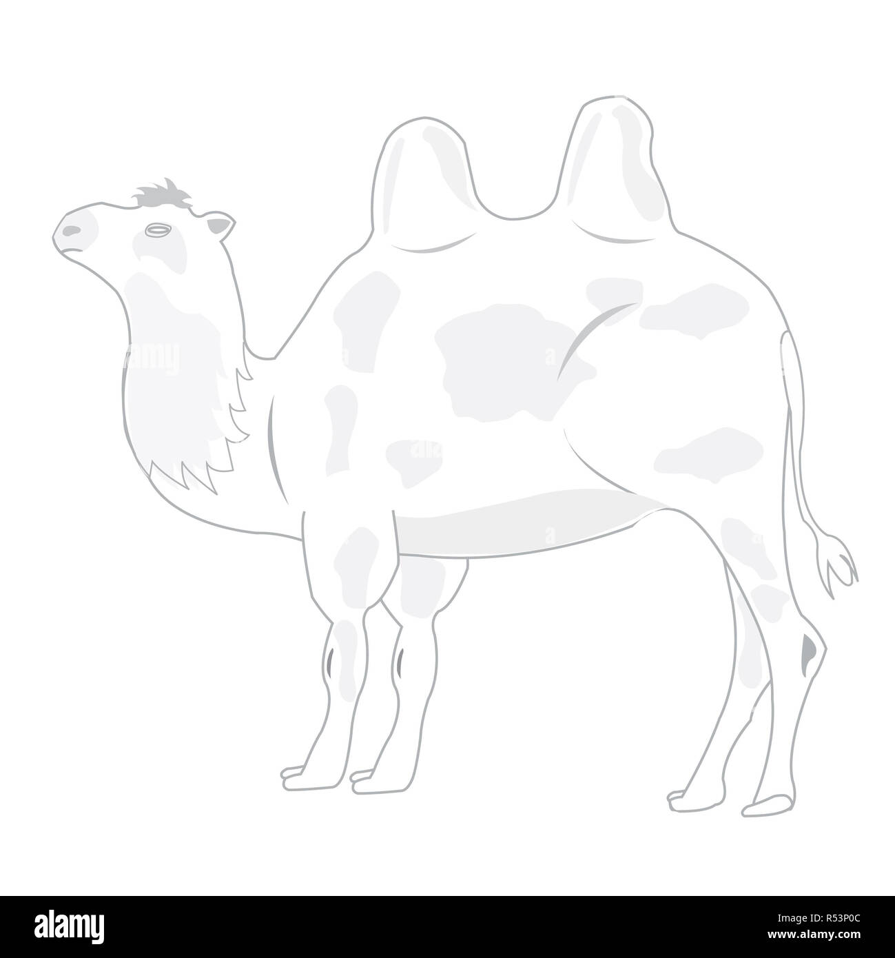 Drawing of the camel on white background Stock Photo - Alamy