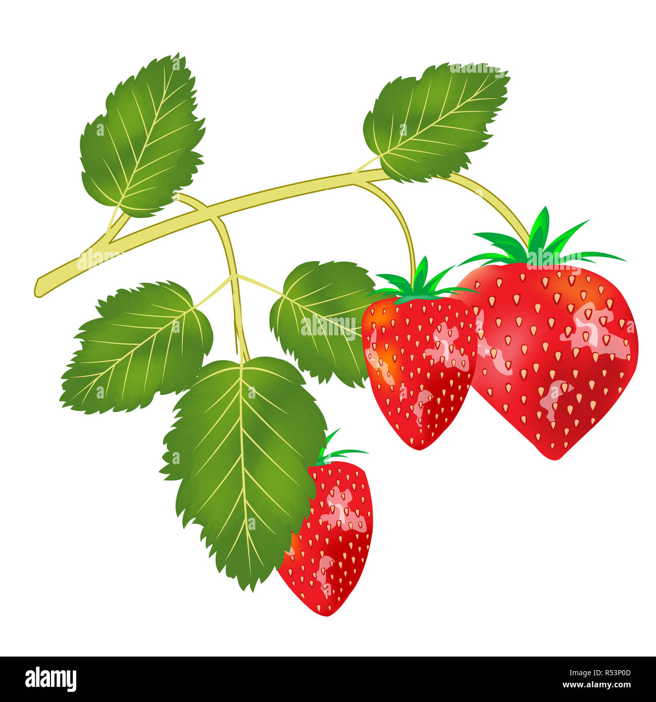 Strawberries dish vector illustration Cut Out Stock Images & Pictures ...