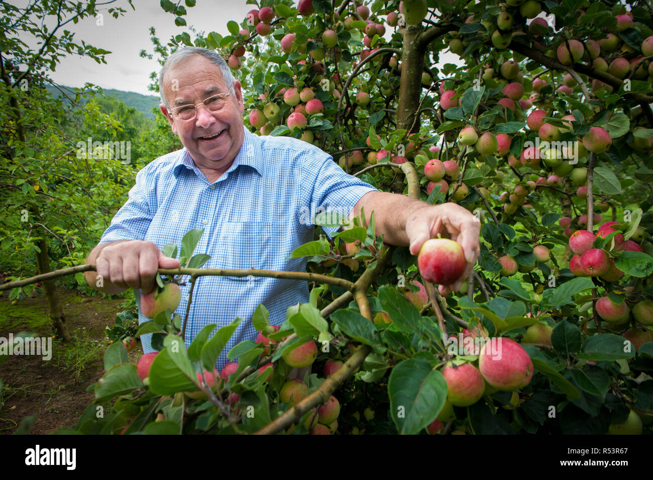 John Thatcher, Of Thatchers Cider, Sandford Somerset, Father of Martin ...