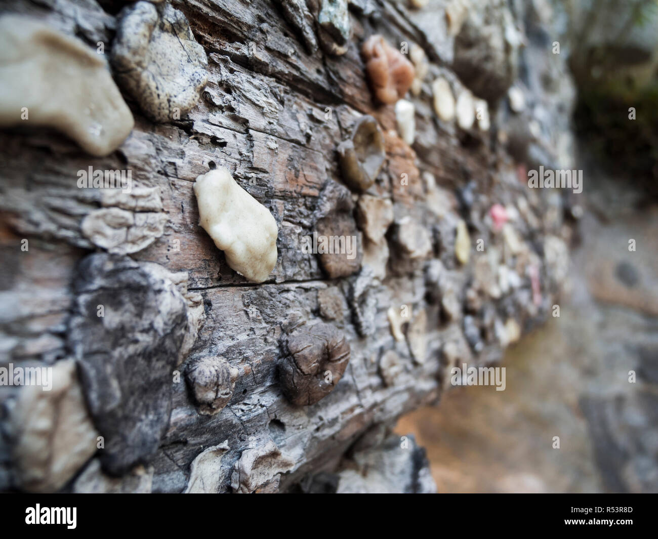 Strange bars hi-res stock photography and images - Alamy