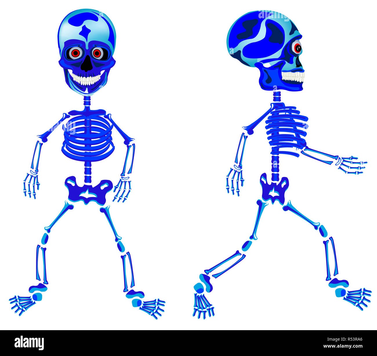 Two skeletons anatomy hi-res stock photography and images - Alamy