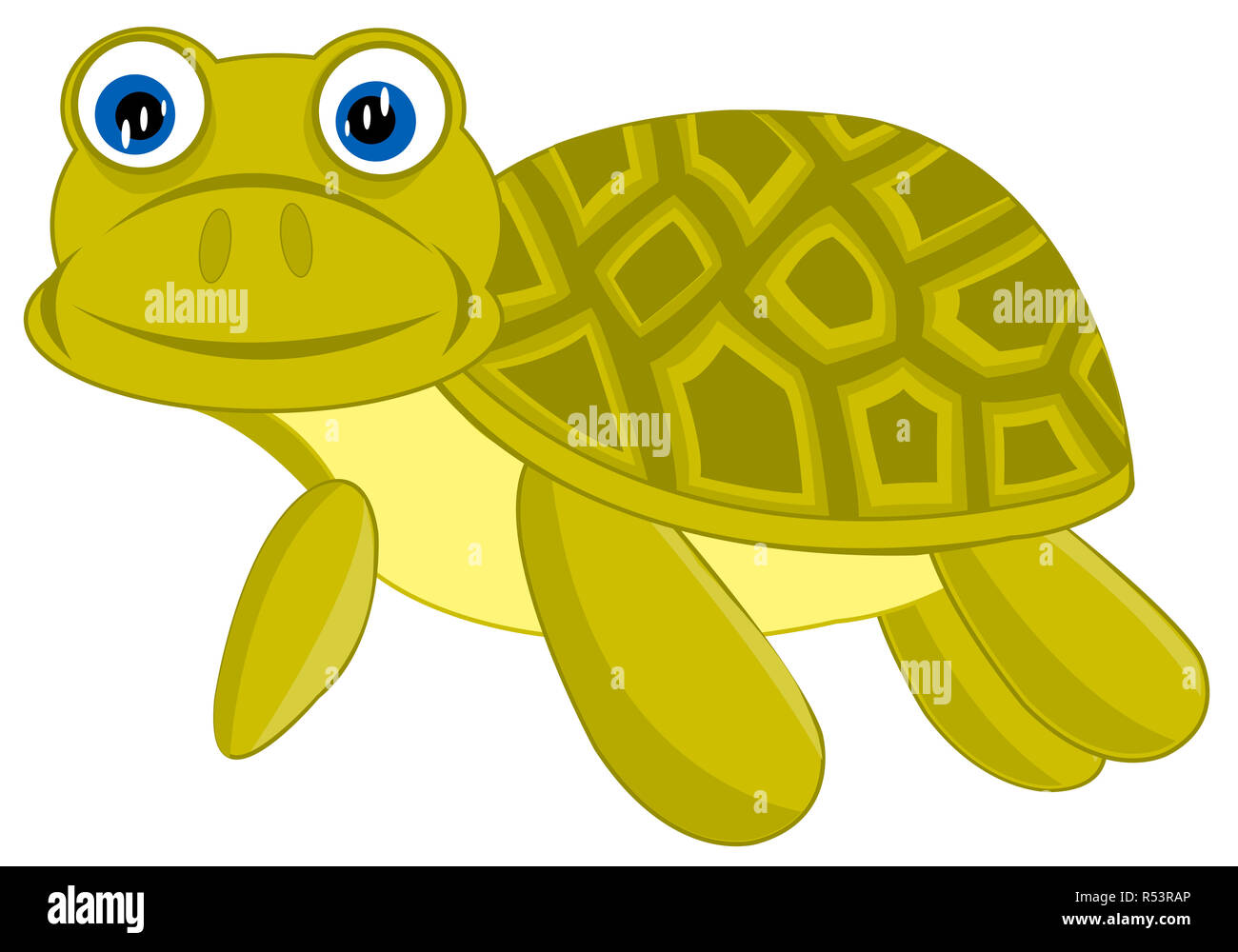 Cartoon of the terrapin on white background Stock Photo - Alamy