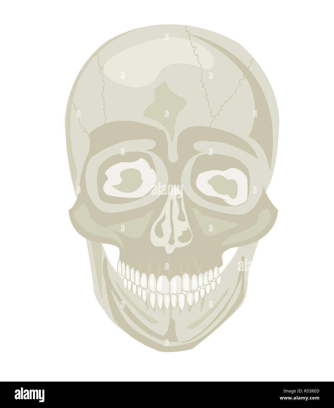 Picture skull hi-res stock photography and images - Alamy