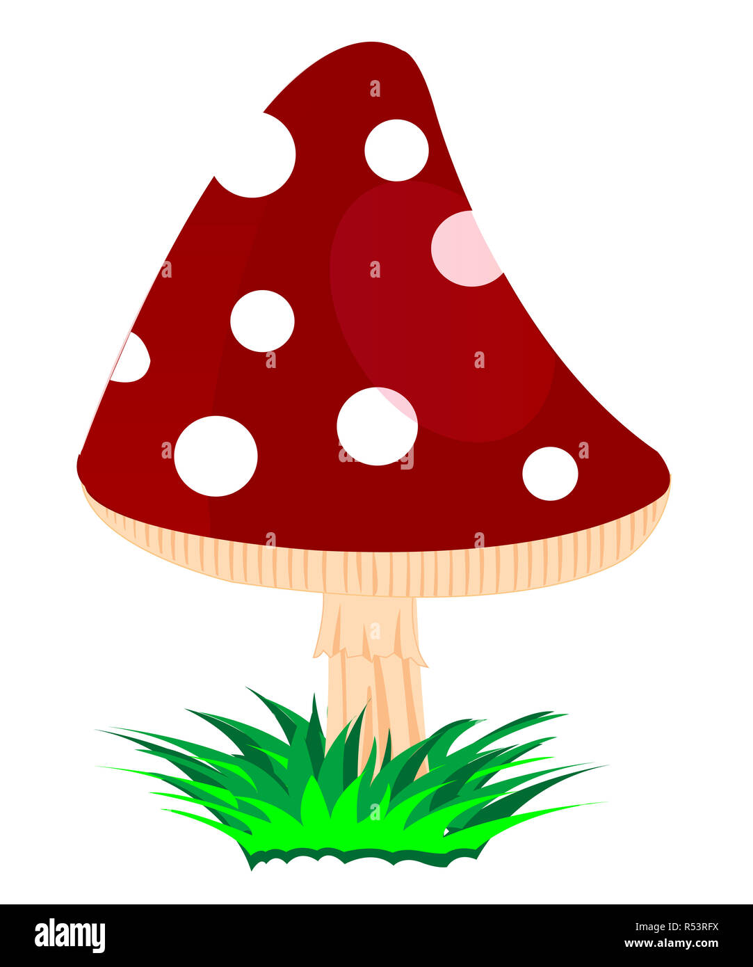 Fly agaric mushroom illustration drawing hi-res stock photography and ...