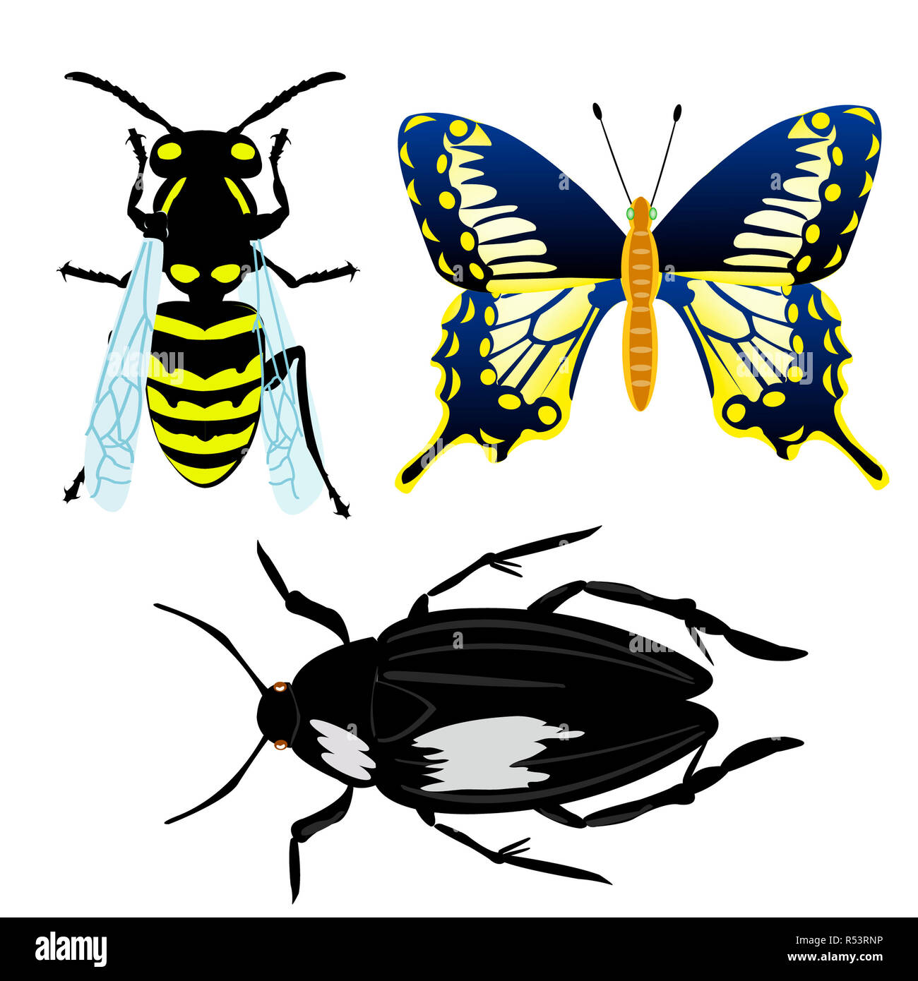 Moustache bug hi-res stock photography and images - Alamy