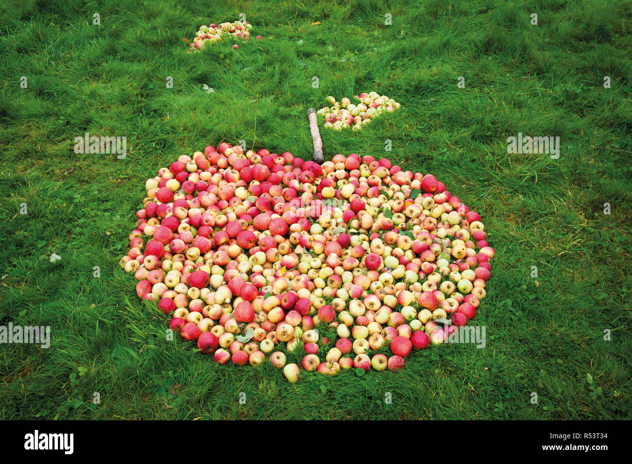 The scrumping project hi-res stock photography and images - Alamy