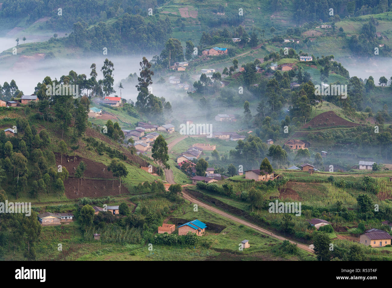 Ugandan rain forest hi-res stock photography and images - Alamy