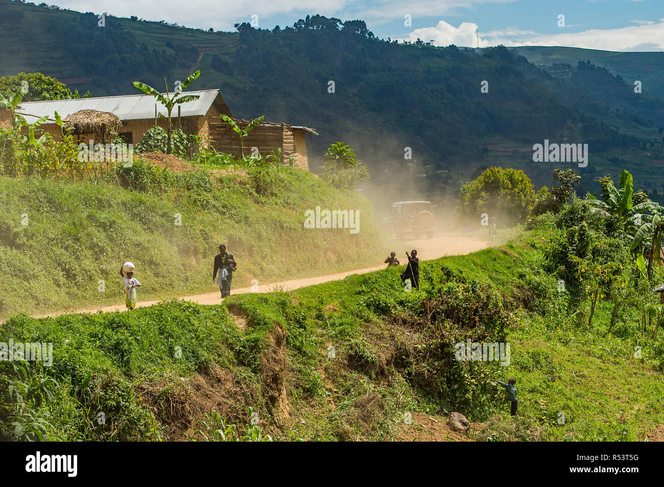 Ugandan rain forest hi-res stock photography and images - Alamy