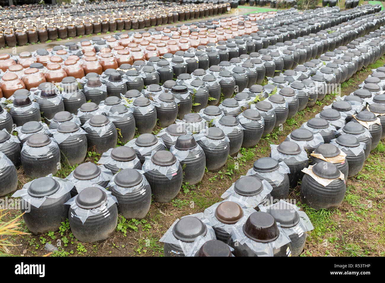 Production of Vinegar in Barrel Stock Photo - Alamy