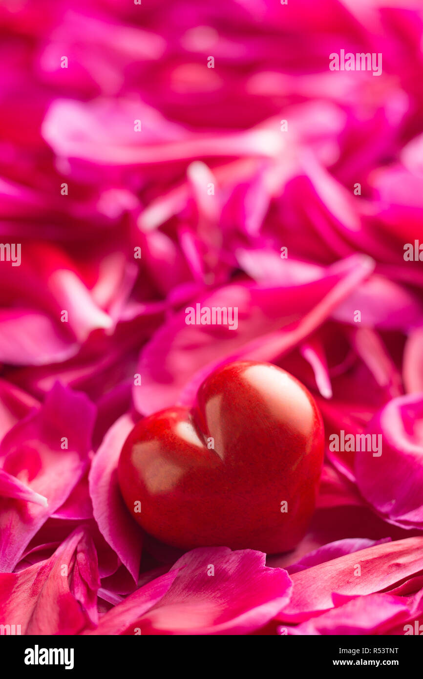 Heart on peony petals background Stock Photo - Alamy