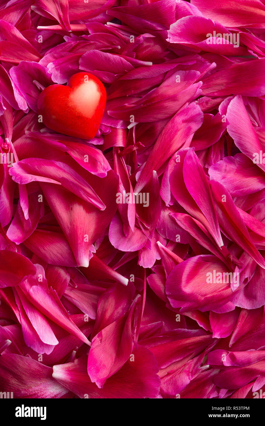 Heart on peony petals background Stock Photo - Alamy