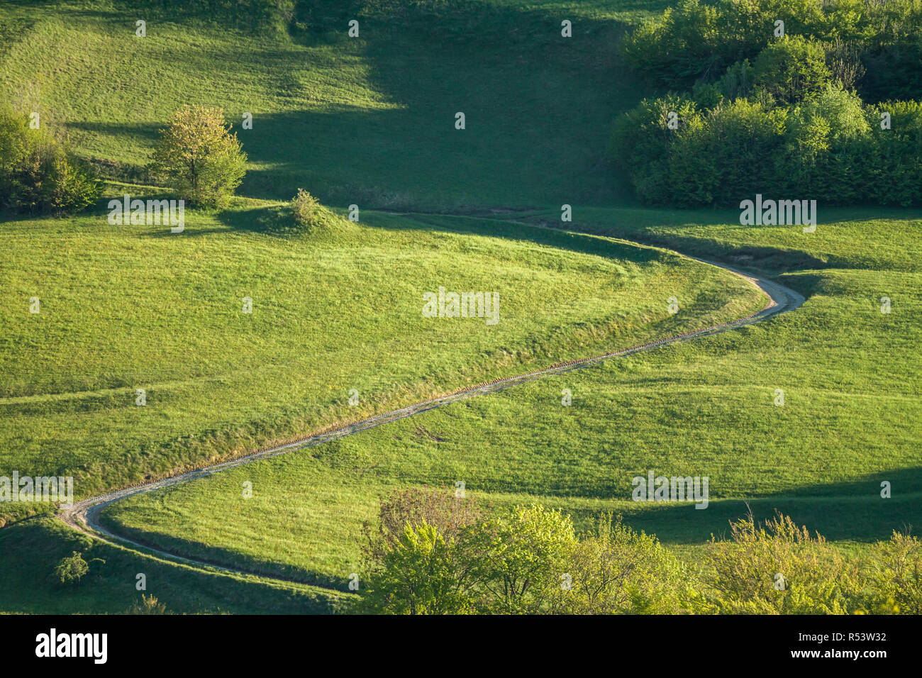 green hill with forest field and path Stock Photo - Alamy