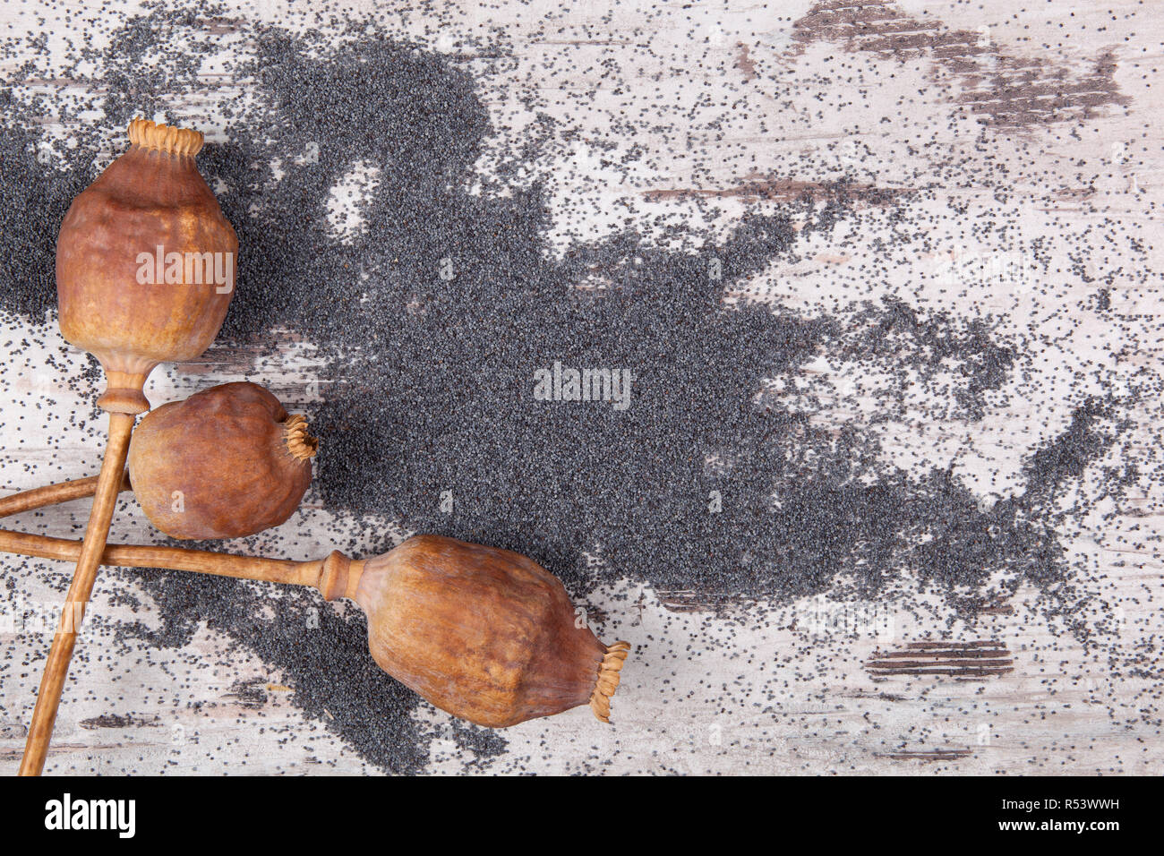 Dry poppy heads and seeds Stock Photo - Alamy