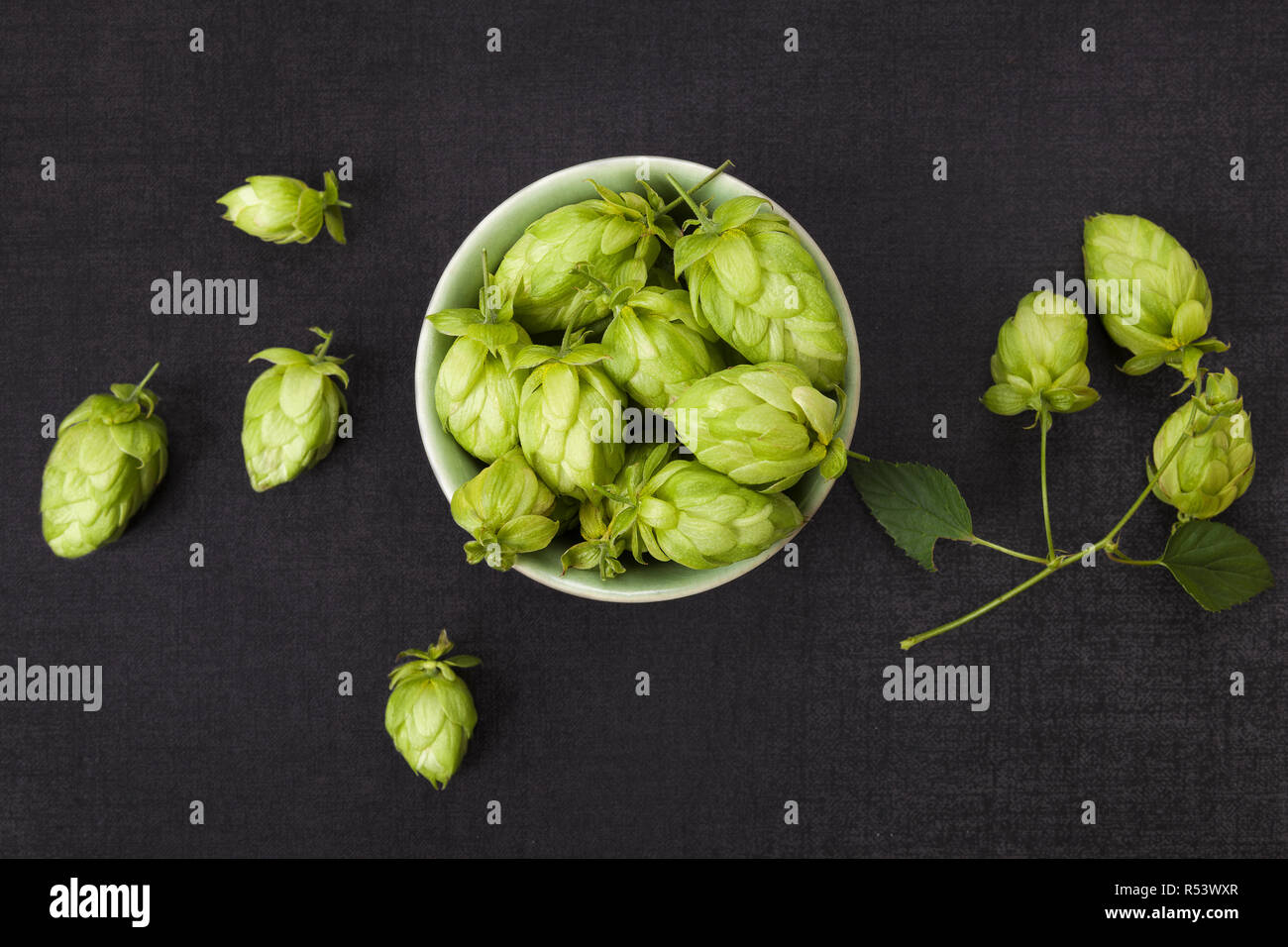 Hopplant High Resolution Stock Photography and Images - Alamy