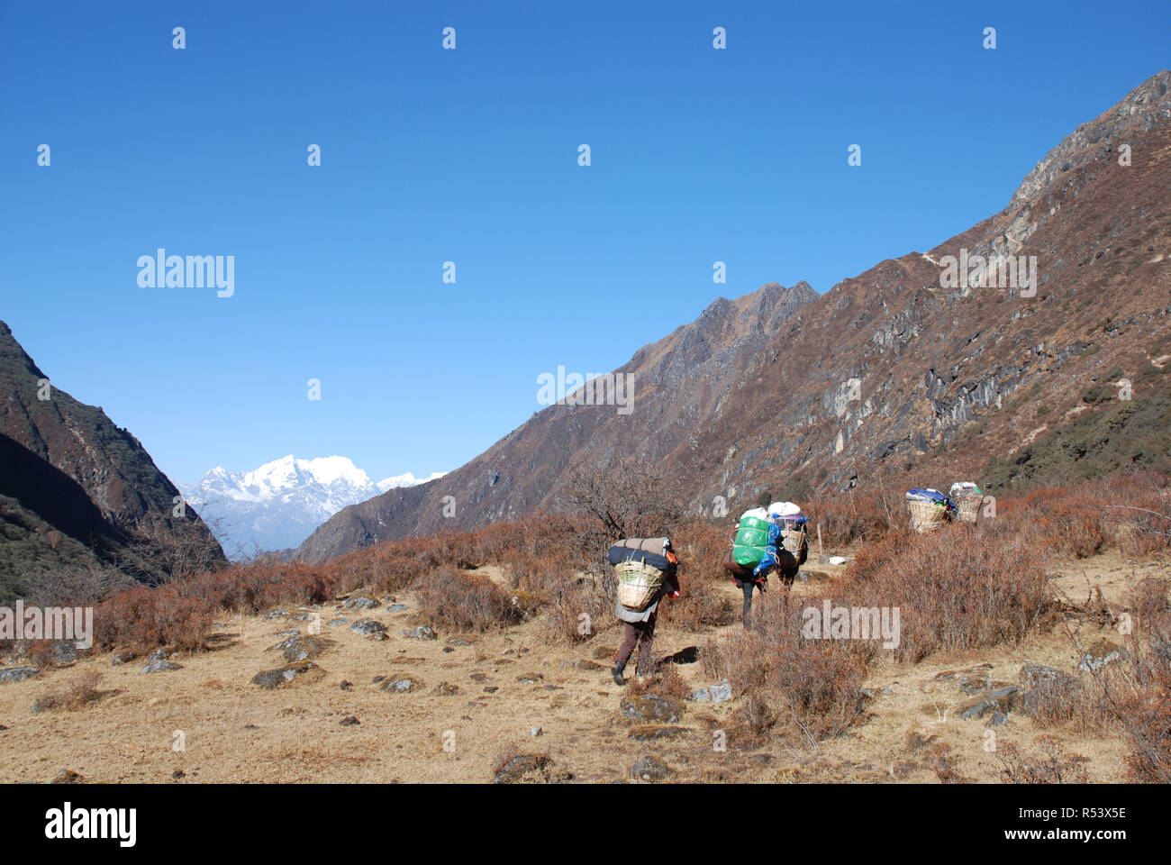 Tamur hi-res stock photography and images - Alamy