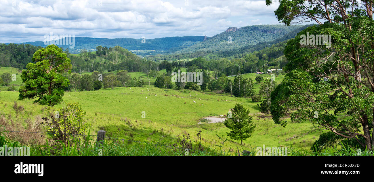 Landscape in Australian hinterland in the summer Stock Photo - Alamy