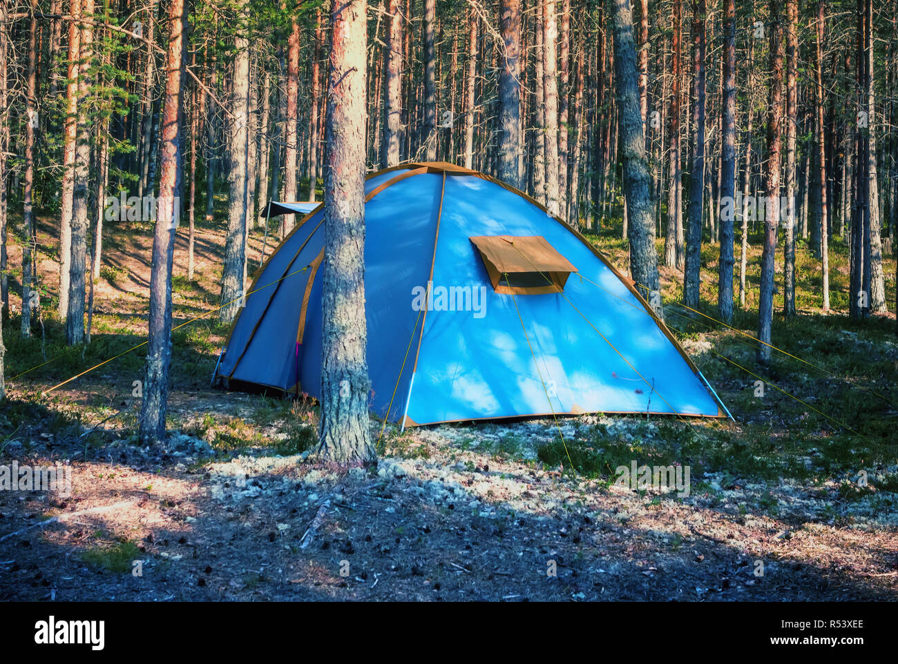 Blue Tent In A Summer Forest Stock Photo - Alamy