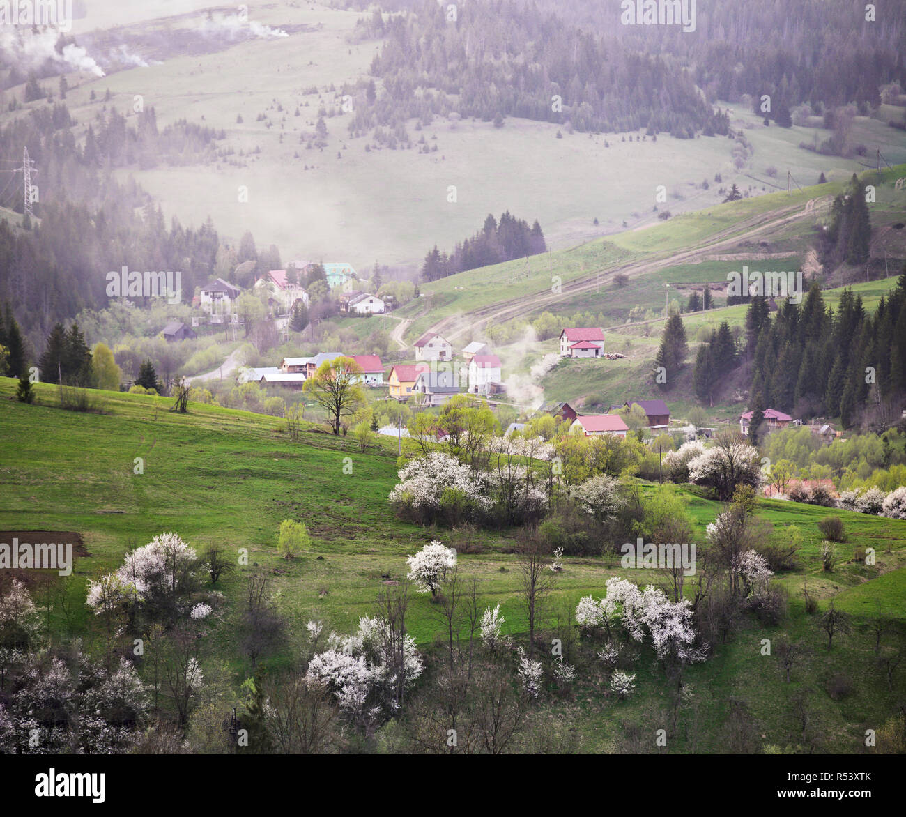 Community orchard spring hi-res stock photography and images - Alamy